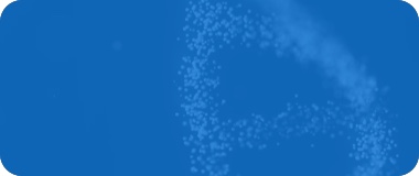 Custom DNA Oligos,Oligo Synthesis